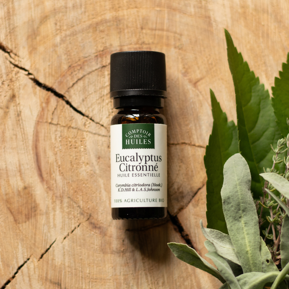 L'huile essentielle d'Eucalyptus Citronné : bienfaits et utilisations
